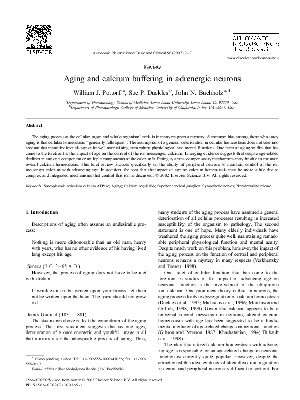 (PDF) Aging and calcium buffering in adrenergic neurons
