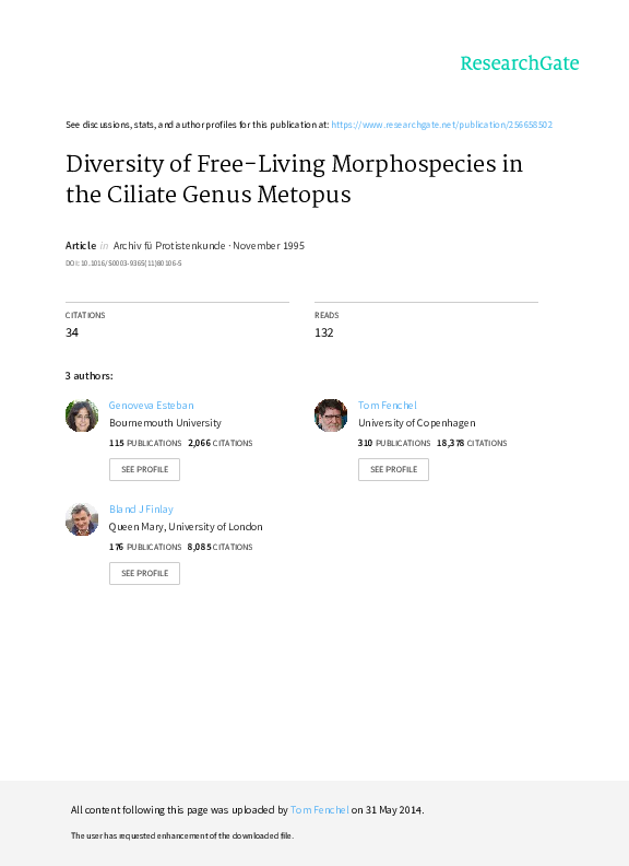 (PDF) Diversity of Free-Living Morphospecies in the Ciliate Genus Metopus