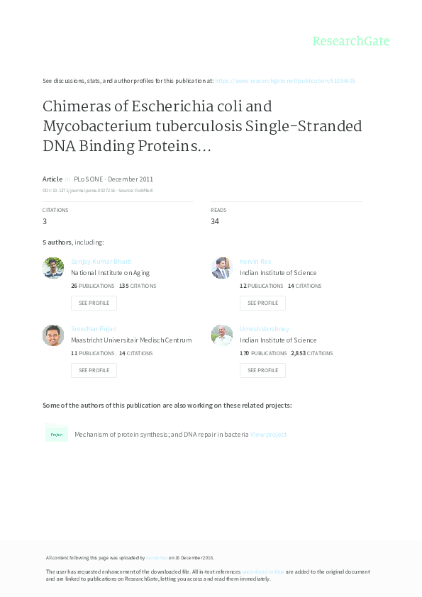Pdf Chimeras Of Escherichia Coli And Mycobacterium Tuberculosis Single Stranded Dna Binding