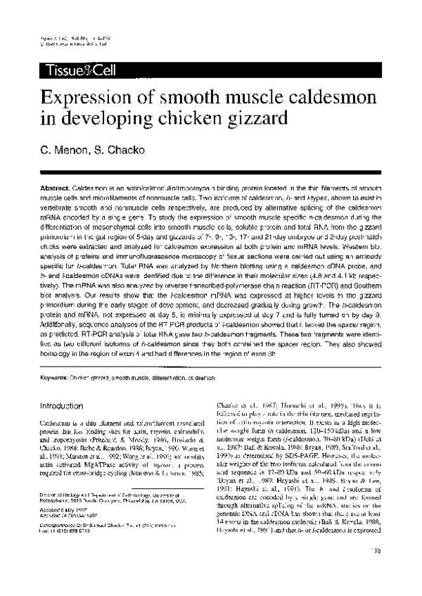 (PDF) Expression of smooth muscle caldesmon in developing chicken gizzard