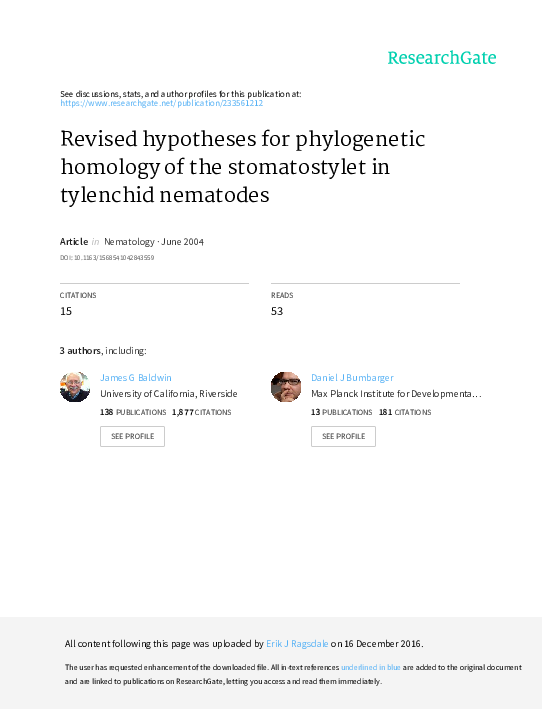 (PDF) Revised hypotheses for phylogenetic homology of the stomatostylet ...
