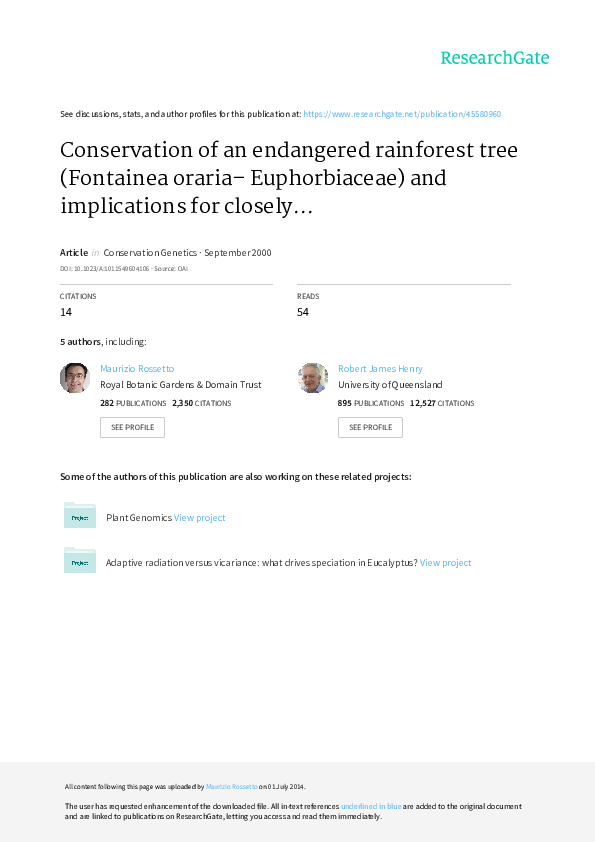(PDF) Conservation genetics of an endangered rainforest tree (Fontainea ...