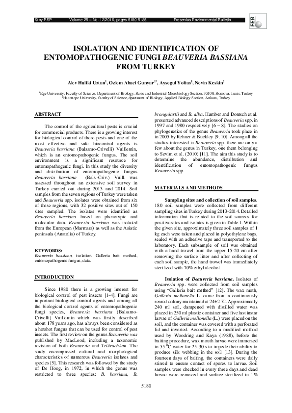 (PDF) ISOLATION AND IDENTIFICATION OF ENTOMOPATHOGENIC FUNGI BEAUVERIA BASSIANA FROM TURKEY