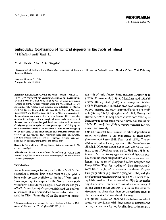 (PDF) Subcellular localization of mineral deposits in the roots of ...