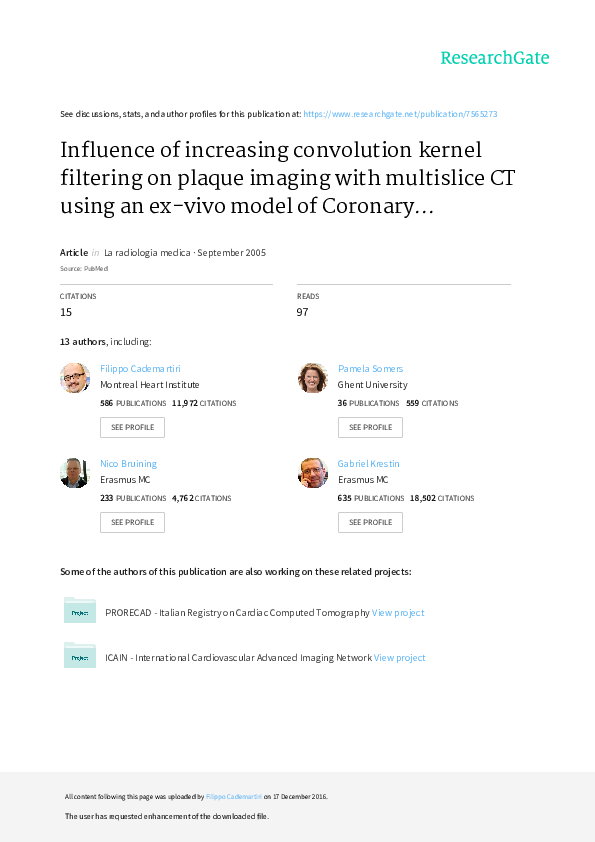(PDF) Influence of increasing convolution kernel filtering on plaque ...