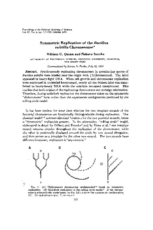 Pdf Symmetric Replication Of The Bacillus Subtilis Chromosome