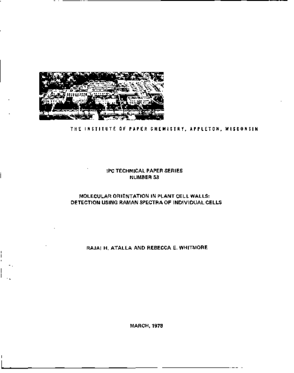 (PDF) Molecular orientation in plant cell walls: detection using Raman ...