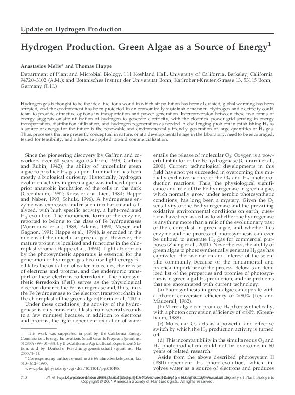 (PDF) Hydrogen Production. Green Algae as a Source of Energy