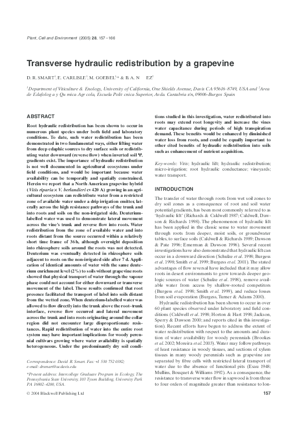 (PDF) Transverse hydraulic redistribution by a grapevine