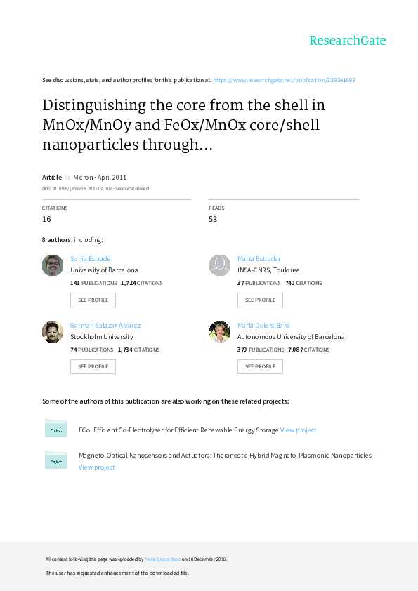 (PDF) Distinguishing the core from the shell in MnO x /MnO y and FeO x ...