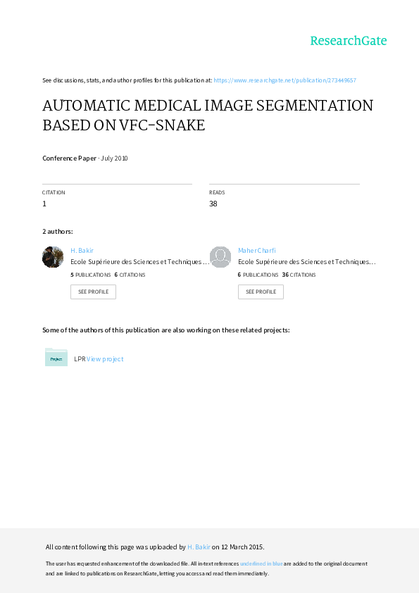 (PDF) Automatic medical image segmentation based on EPGV-Snake