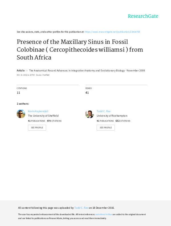 (PDF) Presence of the maxillary sinus in fossil Colobinae ...