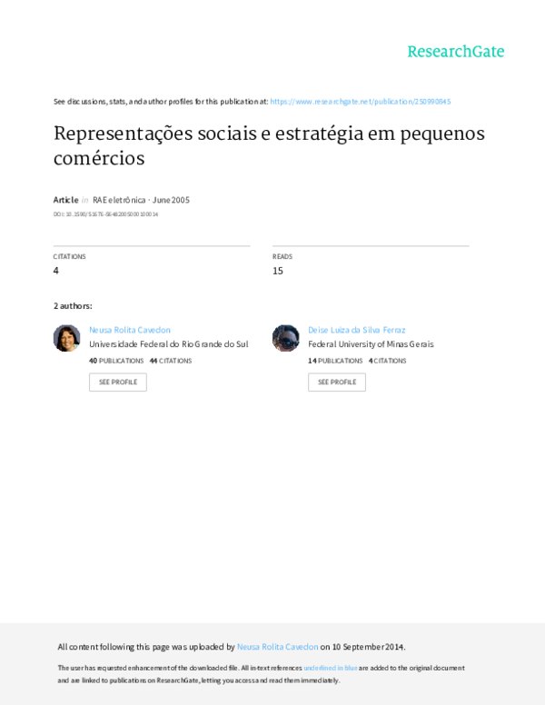 (PDF) Social representations and strategy for small businesses