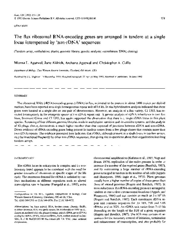 (PDF) The flax ribosomal RNA-encoding genes are arranged in tandem at a ...