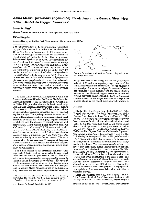 (PDF) Zebra mussel, Dreissena polymorpha: population dynamics and notes ...