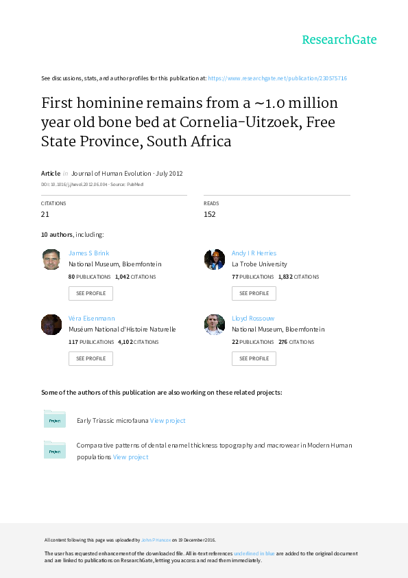(PDF) First hominine remains from a ∼1.0 million year old bone bed at ...