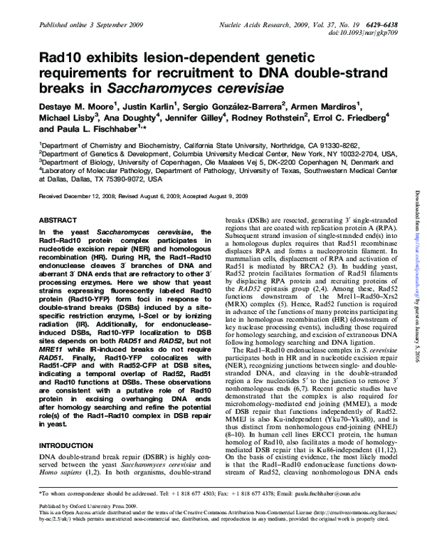 (PDF) Rad10 exhibits lesion-dependent genetic requirements for ...