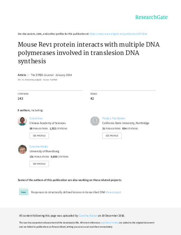 (PDF) Mouse Rev1 protein interacts with multiple DNA polymerases ...
