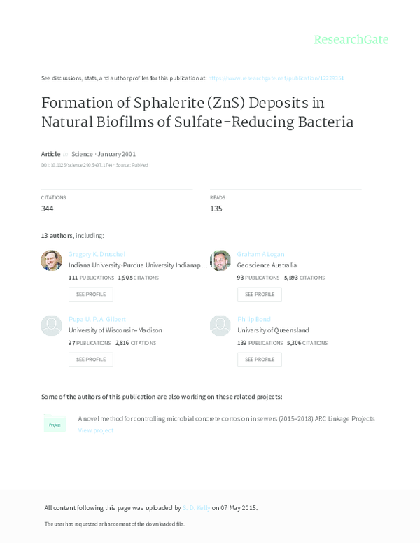 (PDF) Formation of Sphalerite (ZnS) Deposits in Natural Biofilms of Sulfate-Reducing Bacteria