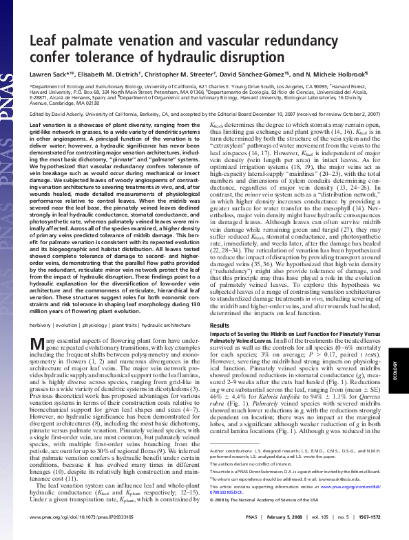 (PDF) Leaf palmate venation and vascular redundancy confer tolerance of ...