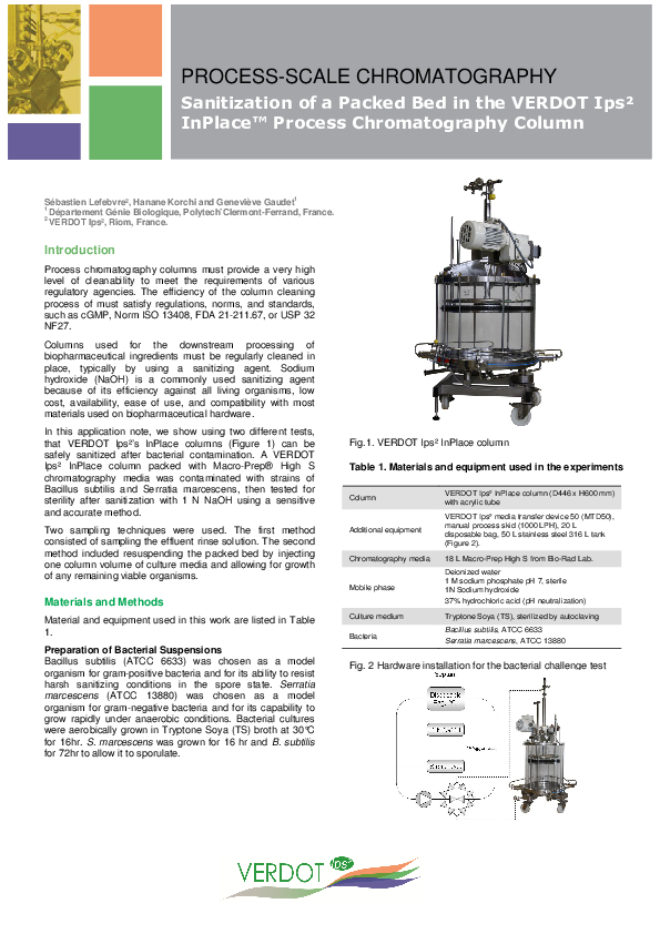 (PDF) PROCESS-SCALE CHROMATOGRAPHY Sanitization of a Packed Bed in the ...