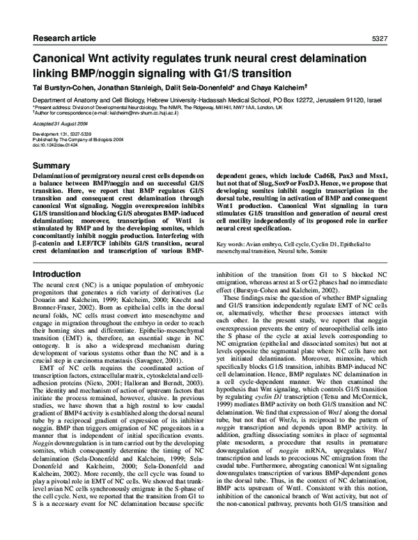 (PDF) Canonical Wnt activity regulates trunk neural crest delamination ...