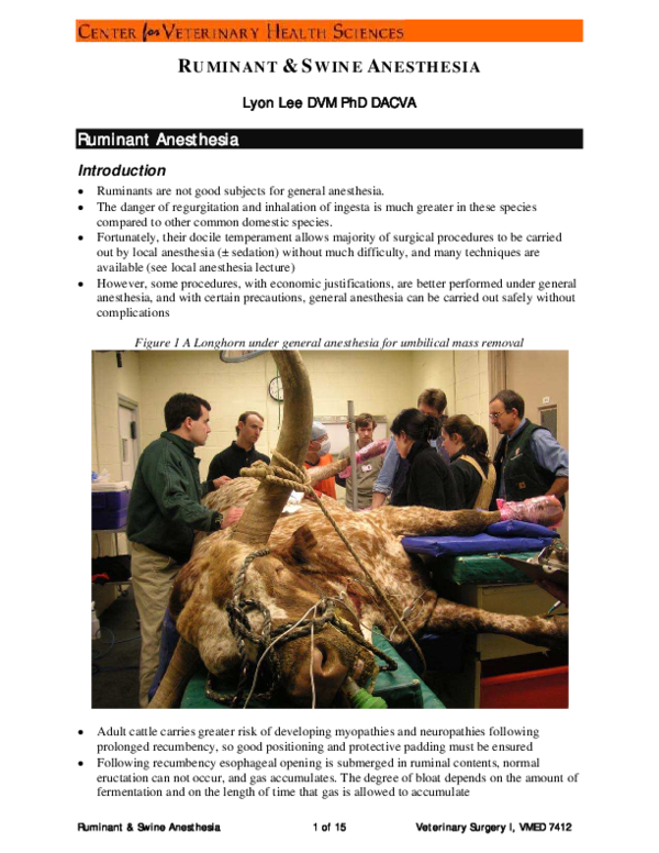 (PDF) Ruminant & Swine Anesthesia RUMINANT & SWINE ANESTHESIA