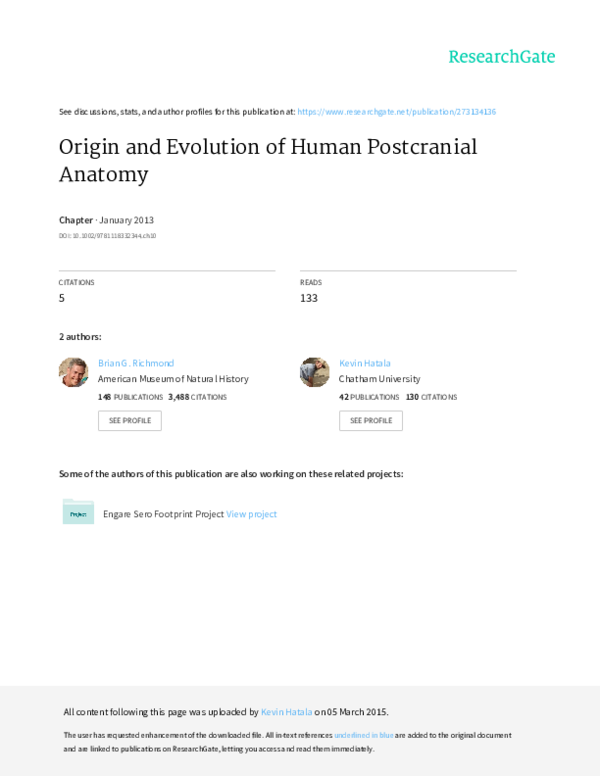 (PDF) Origin and Evolution of Human Postcranial Anatomy