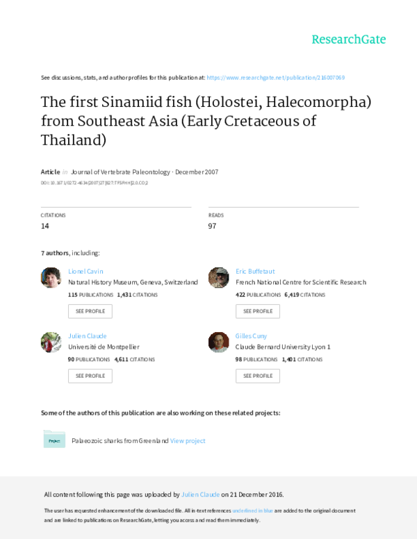 (PDF) The first sinamiid fish (Holostei: Halecomorpha) from Southeast ...