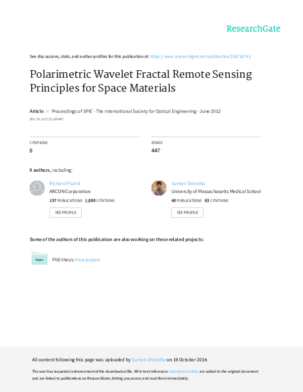 (PDF) Polarimetric wavelet fractal remote sensing principles for space ...