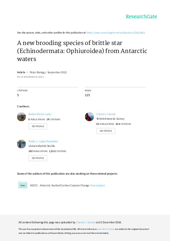 (PDF) A new brooding species of brittle star (Echinodermata ...