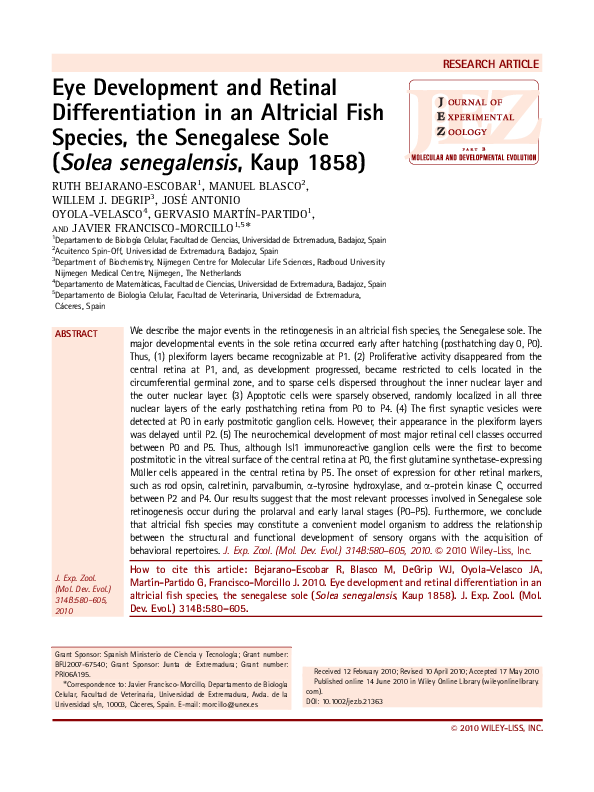 (PDF) Eye development and retinal differentiation in an altricial fish ...