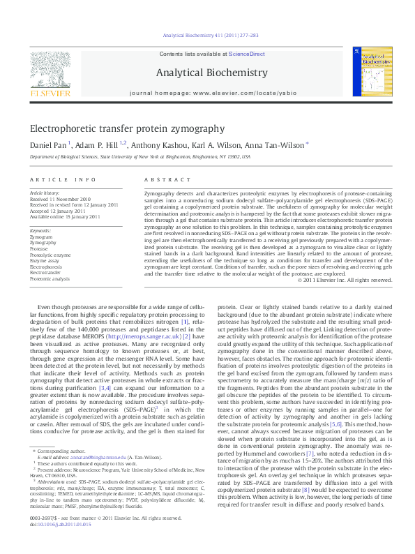 (PDF) Electrophoretic transfer protein zymography