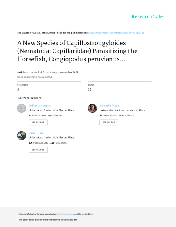 (PDF) A new species of Capillostrongyloides (Nematoda: Capillariidae ...