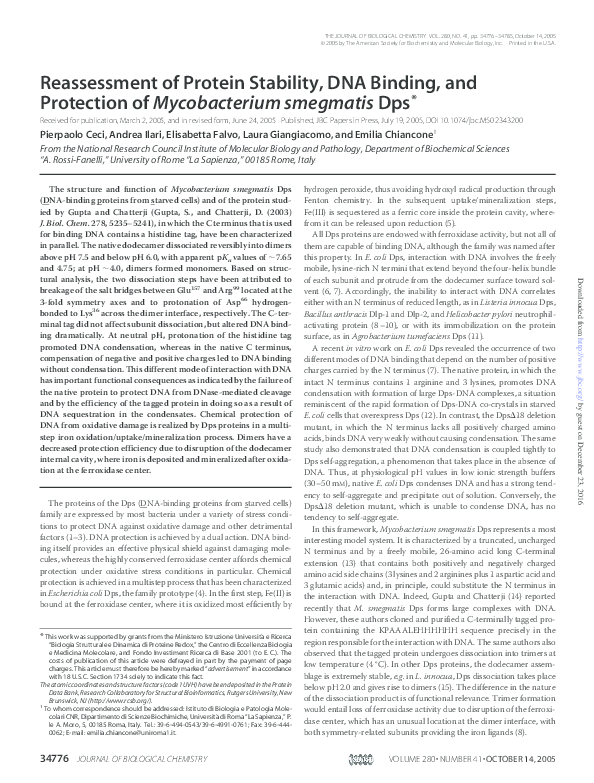 (PDF) Reassessment of Protein Stability, DNA Binding, and Protection of ...