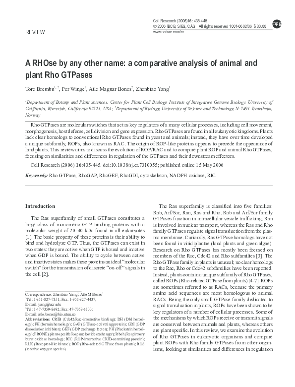 (PDF) A RHOse by any other name: a comparative analysis of animal and ...