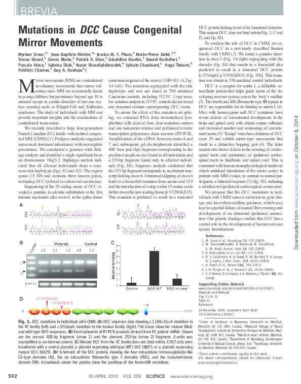 (PDF) Mutations in DCC cause congenital mirror movements