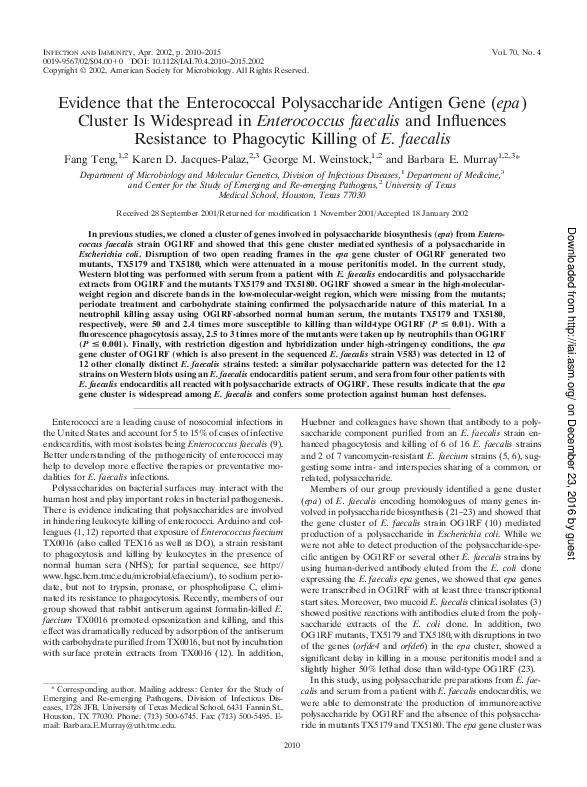 (PDF) Evidence that the enterococcal polysaccharide antigen gene (epa ...