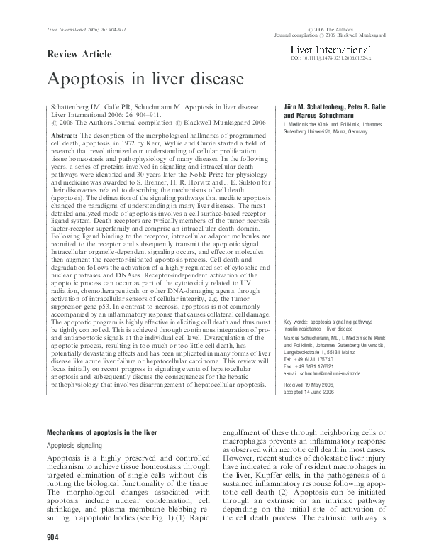 (PDF) Apoptosis in liver disease