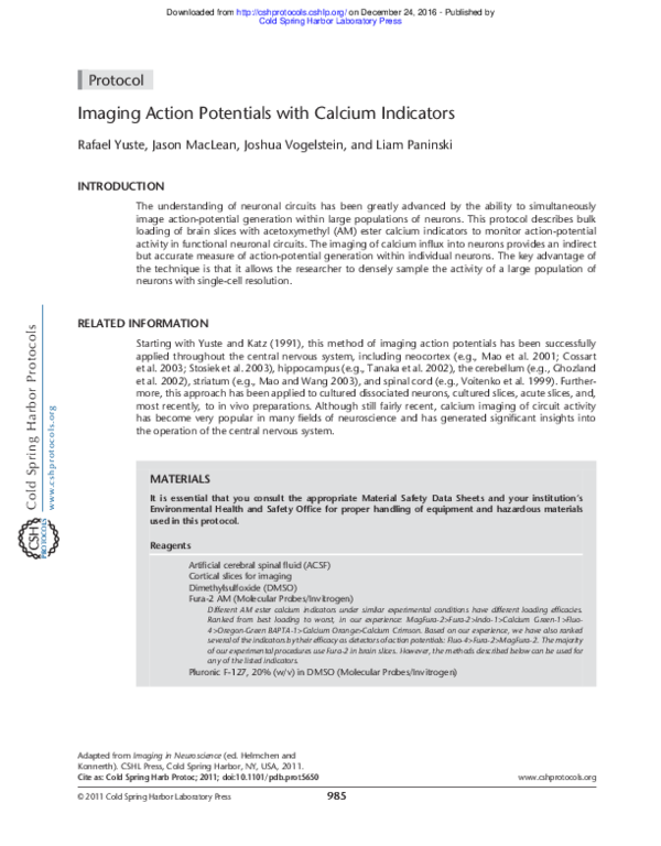 (PDF) Imaging Action Potentials with Calcium Indicators