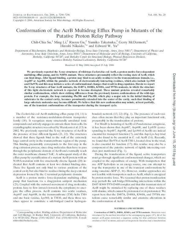 (PDF) Conformation of the AcrB multidrug efflux pump in mutants of the ...