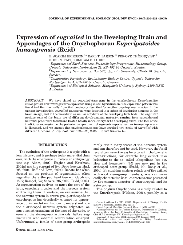 (PDF) Expression of engrailed in the developing brain and appendages of ...