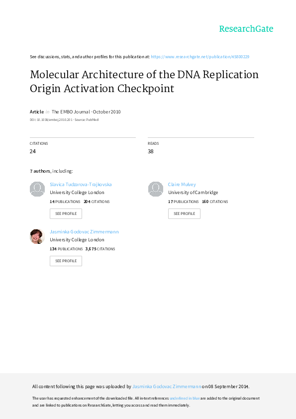 (PDF) Molecular architecture of the DNA replication origin activation ...