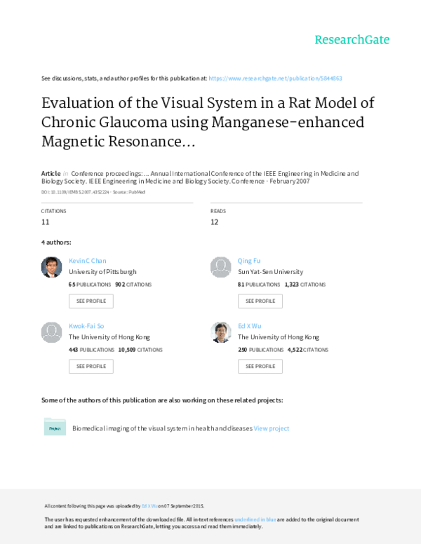 (PDF) Evaluation of the visual system in a rat model of chronic ...