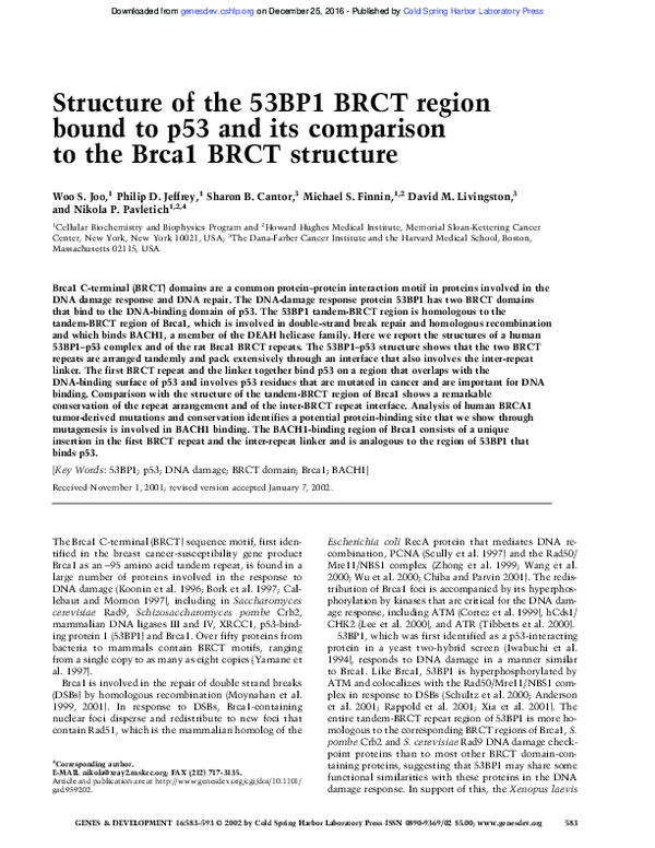 (PDF) Structure of the 53BP1 BRCT region bound to p53 and its comparison to the Brca1 BRCT structure