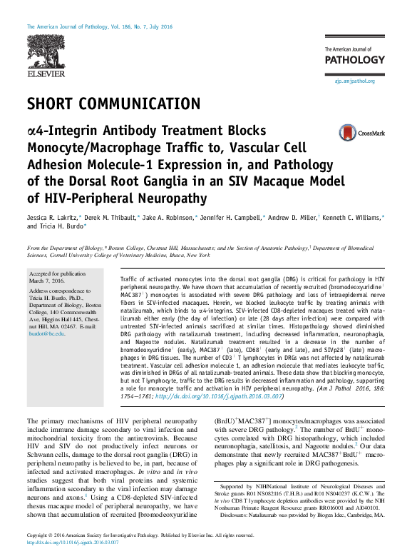 (PDF) a4-Integrin Antibody Treatment Blocks Monocyte/Macrophage Traffic ...
