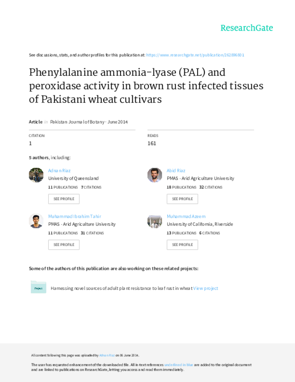 (PDF) Phenylalanine ammonia-lyase (PAL) and peroxidase activity in ...
