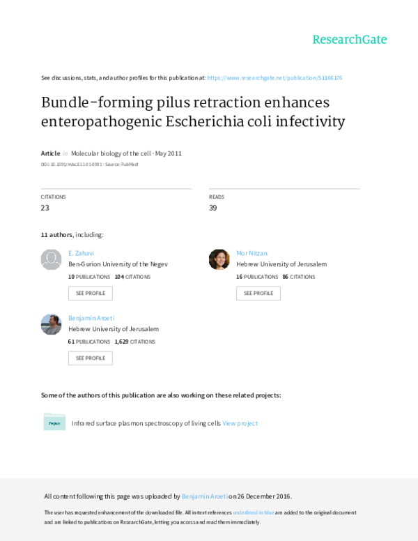 (PDF) Bundle forming pilus retraction enhances enteropathogenic ...