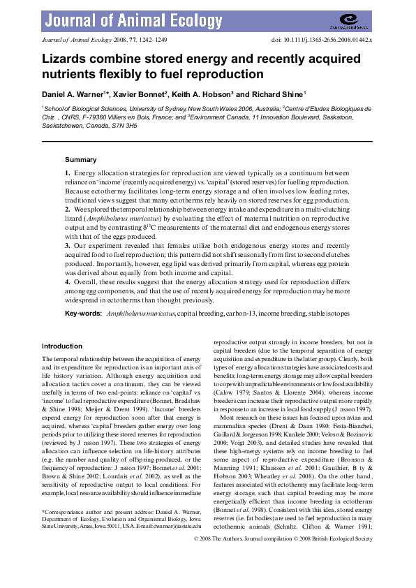 (PDF) Lizards combine stored energy and recently acquired nutrients ...