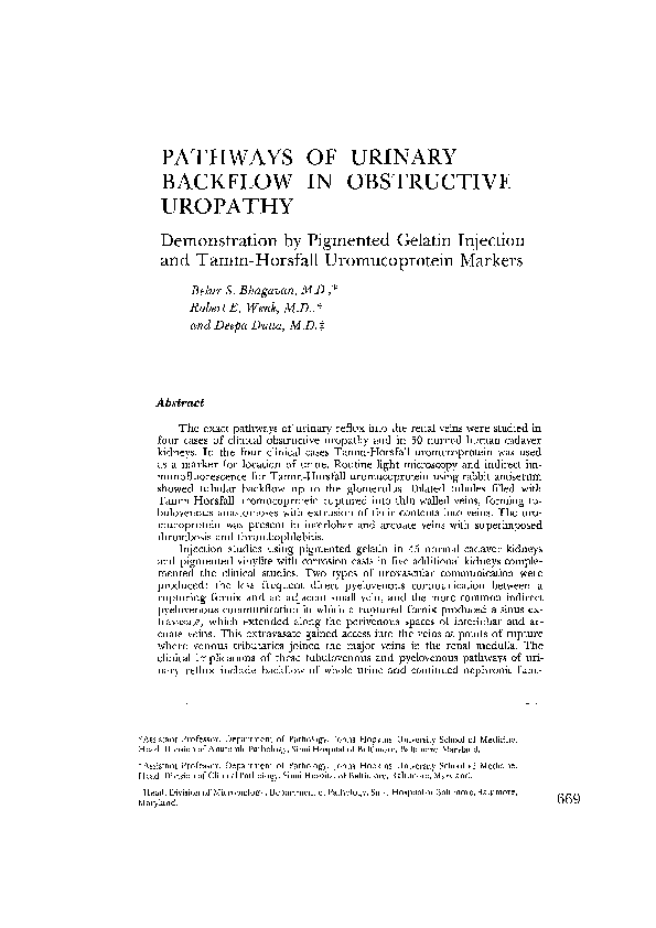 (PDF) Pathways of urinary backflow in obstructive uropathy ...